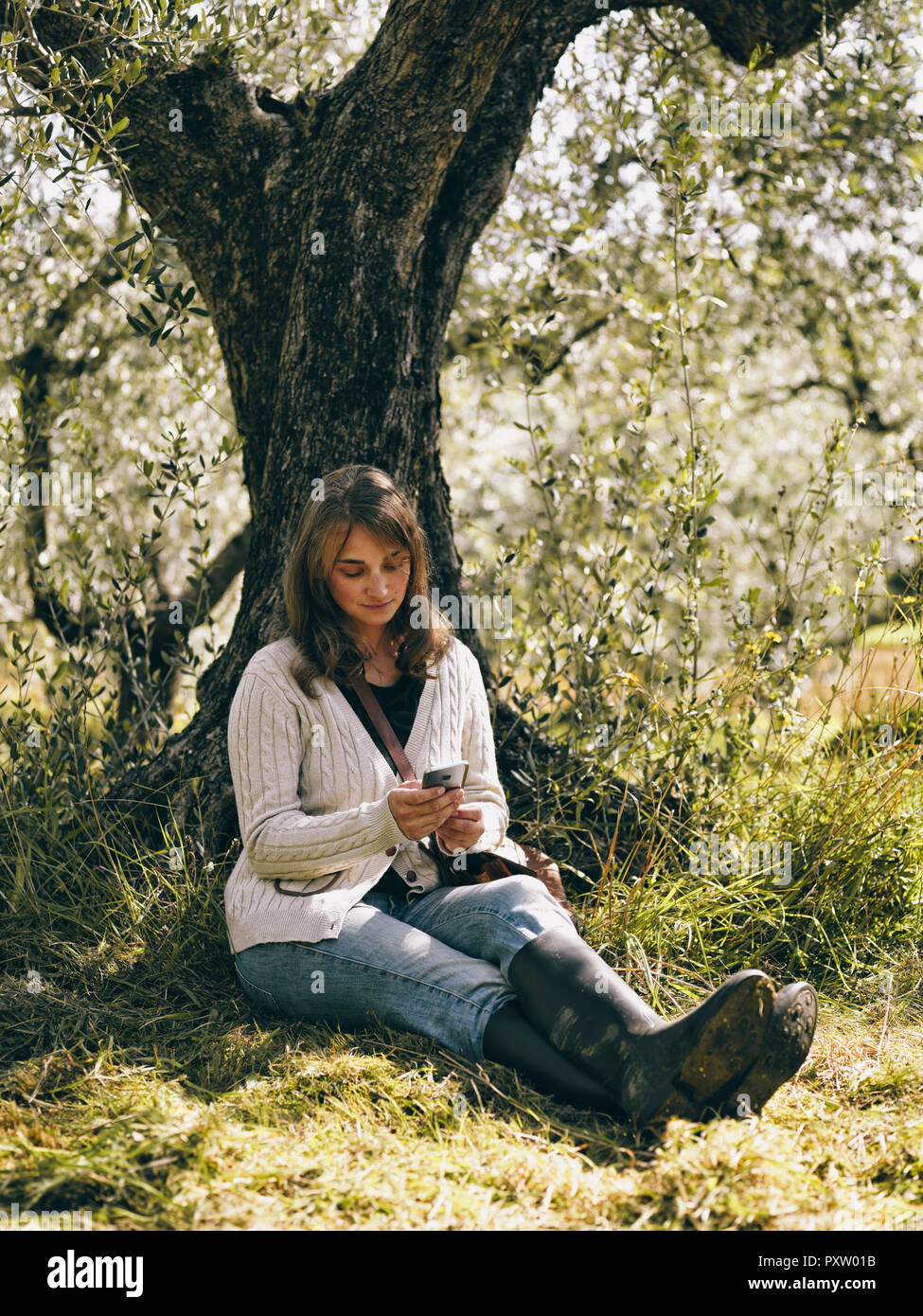 Sitting under an olive tree hi-res stock photography and images - Alamy