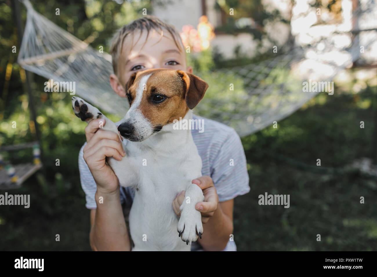 Boy with Jack Russel Terrier in the garden Stock Photo - Alamy