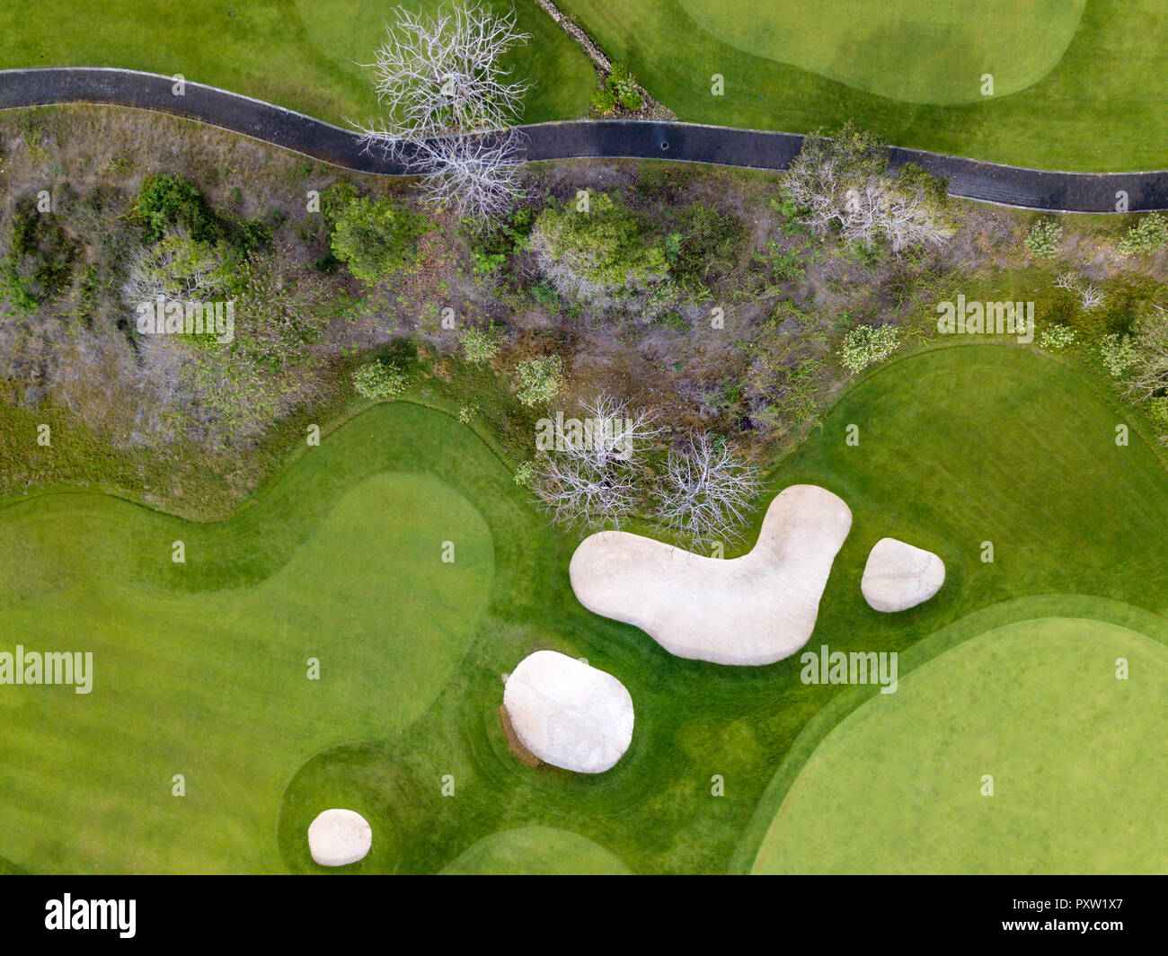 Golf Course Top View