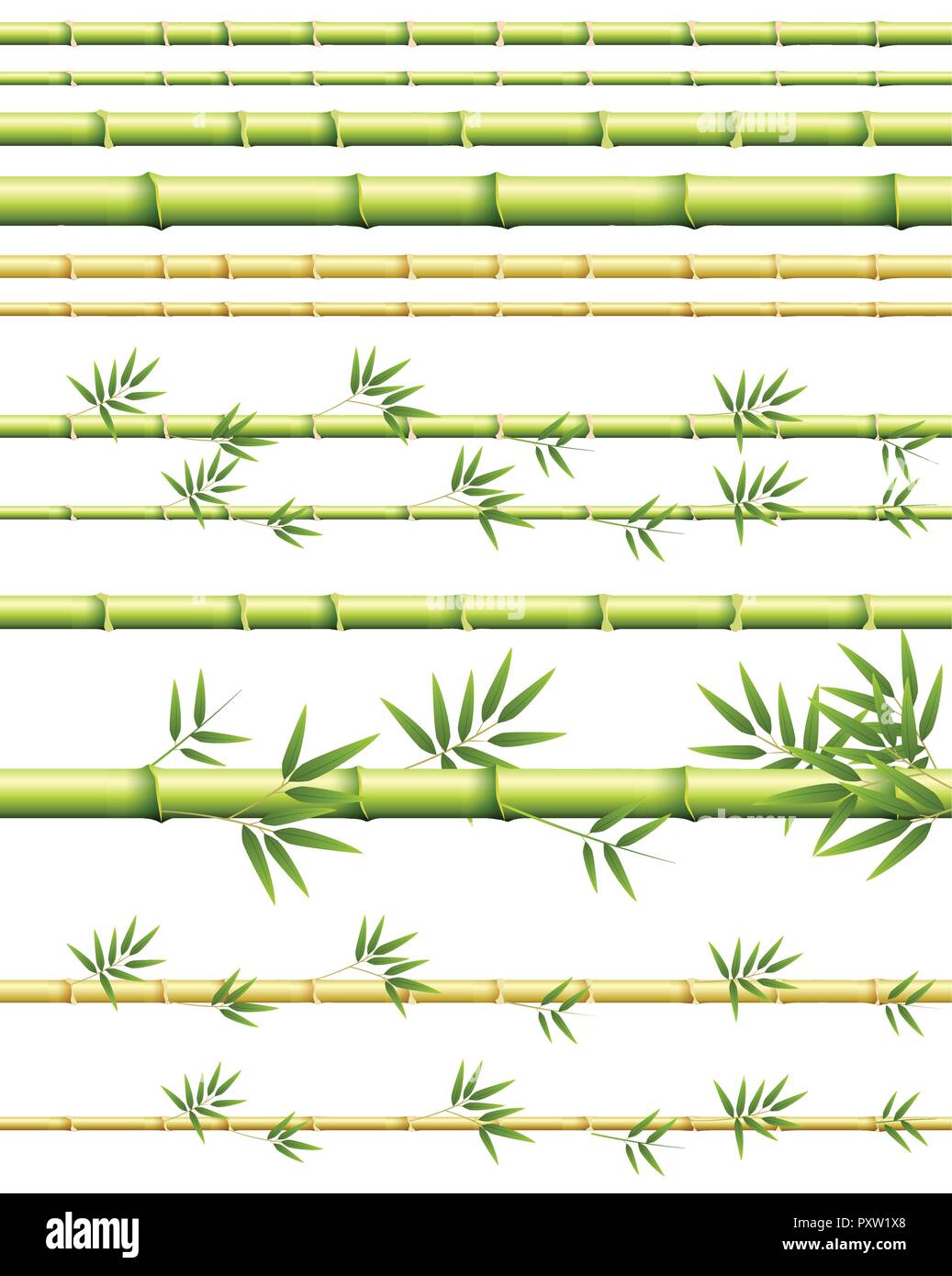 Different sizes of bamboo stems with and without leaves illustration ...