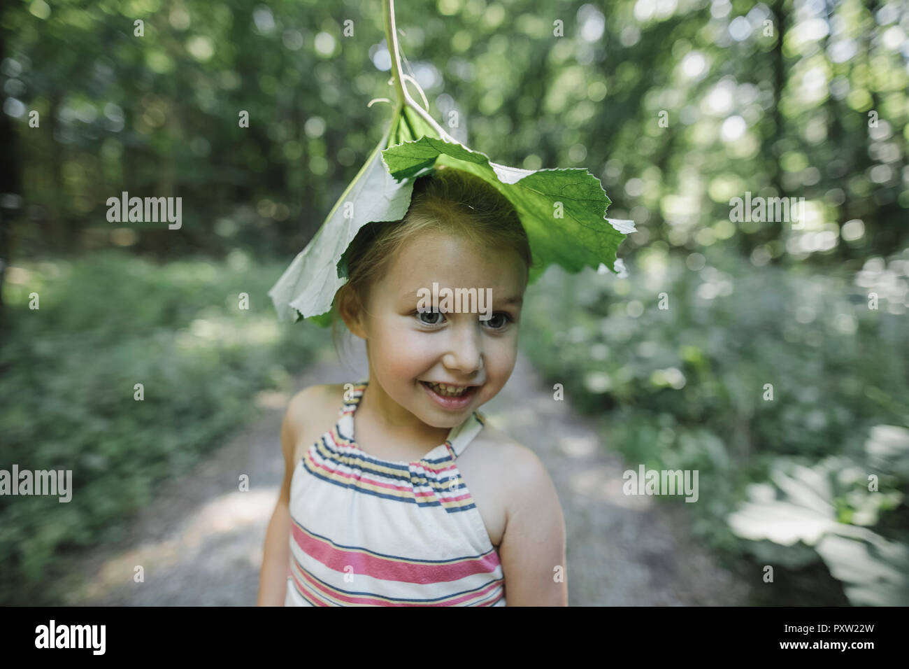 One little leaf hi-res stock photography and images - Alamy
