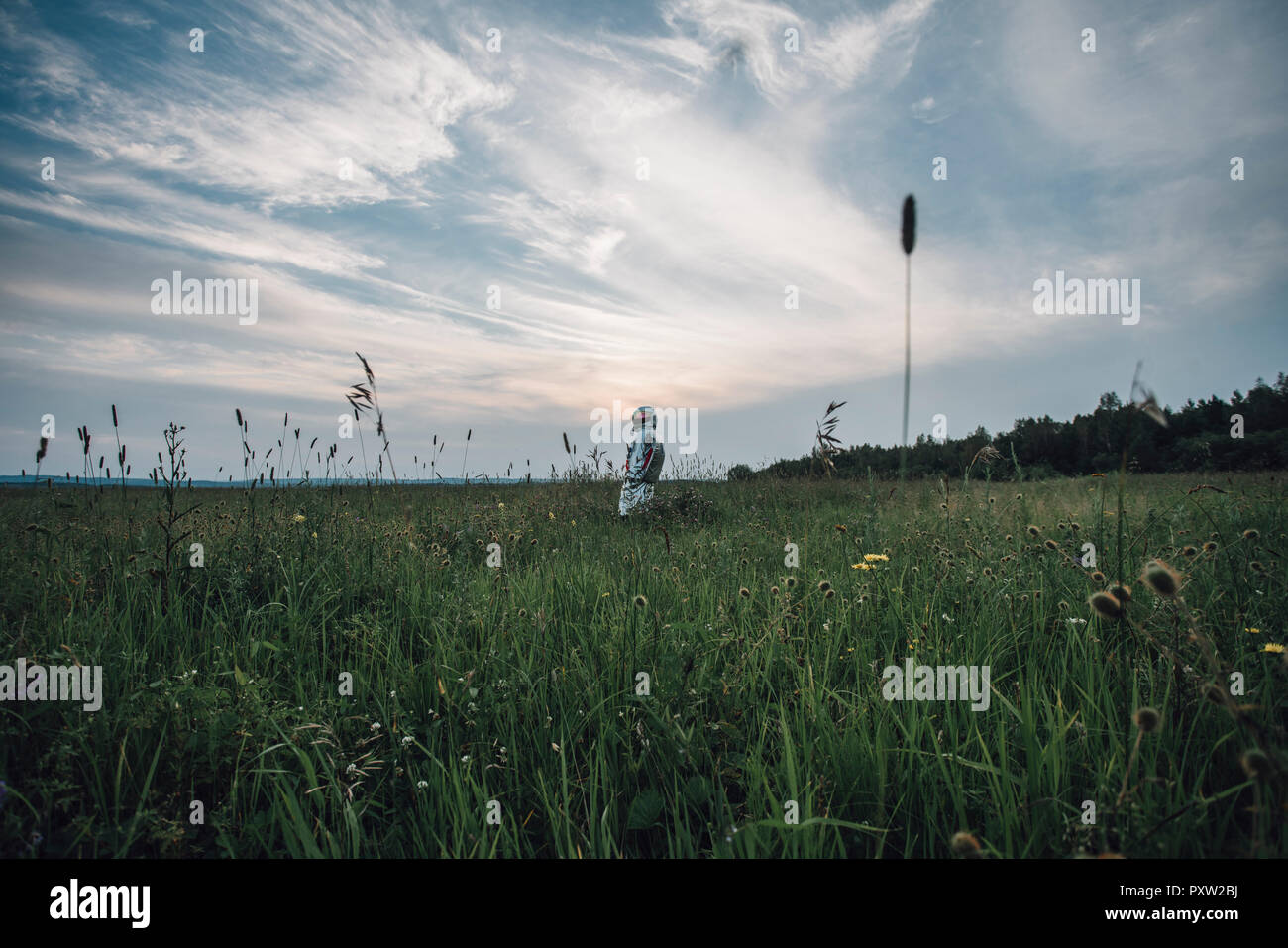 Fascination nature hi-res stock photography and images - Alamy Fascination nature hi-res stock photography and images - Alamy