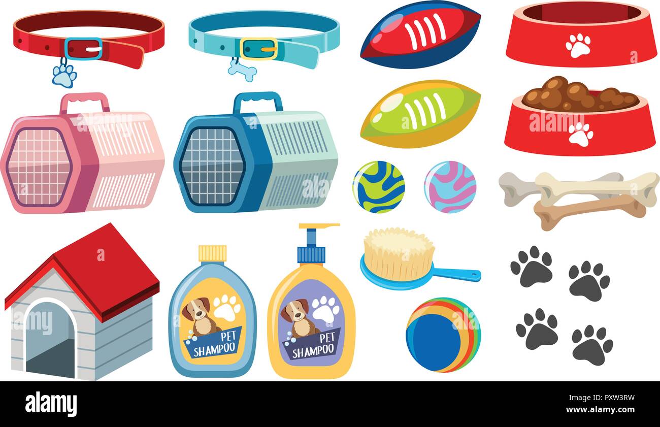 Different dog accessories on white background illustration Stock Vector ...