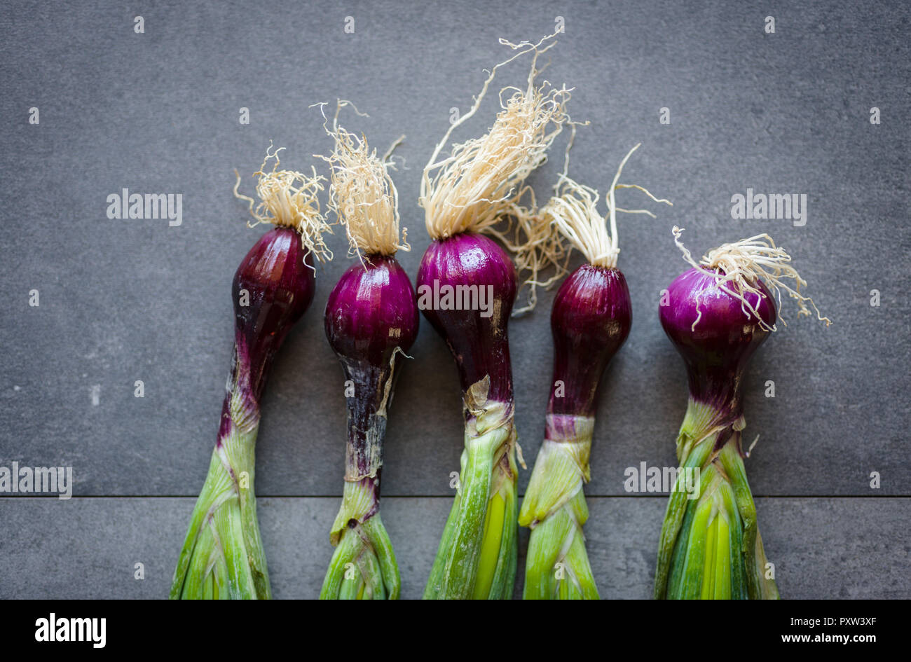 Five row hi-res stock photography and images - Alamy