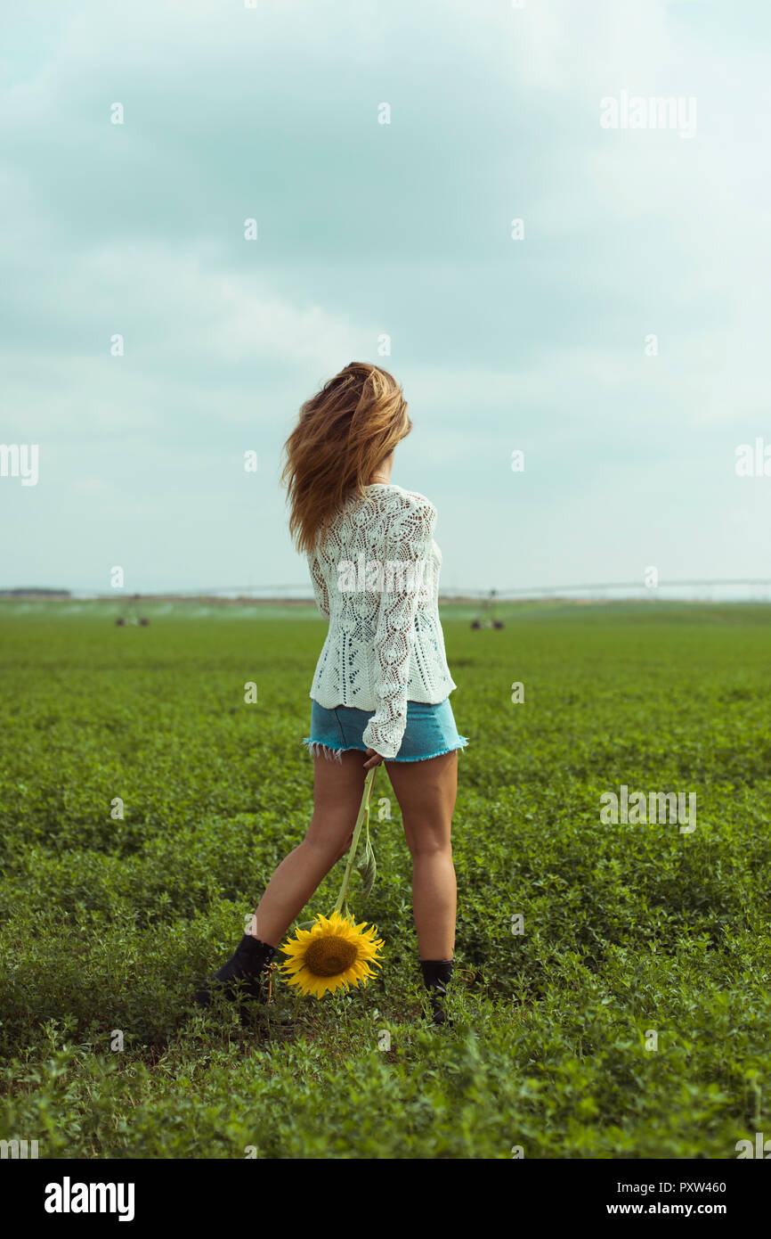 Young woman walking holding a sunflower in a green field Stock Photo ...