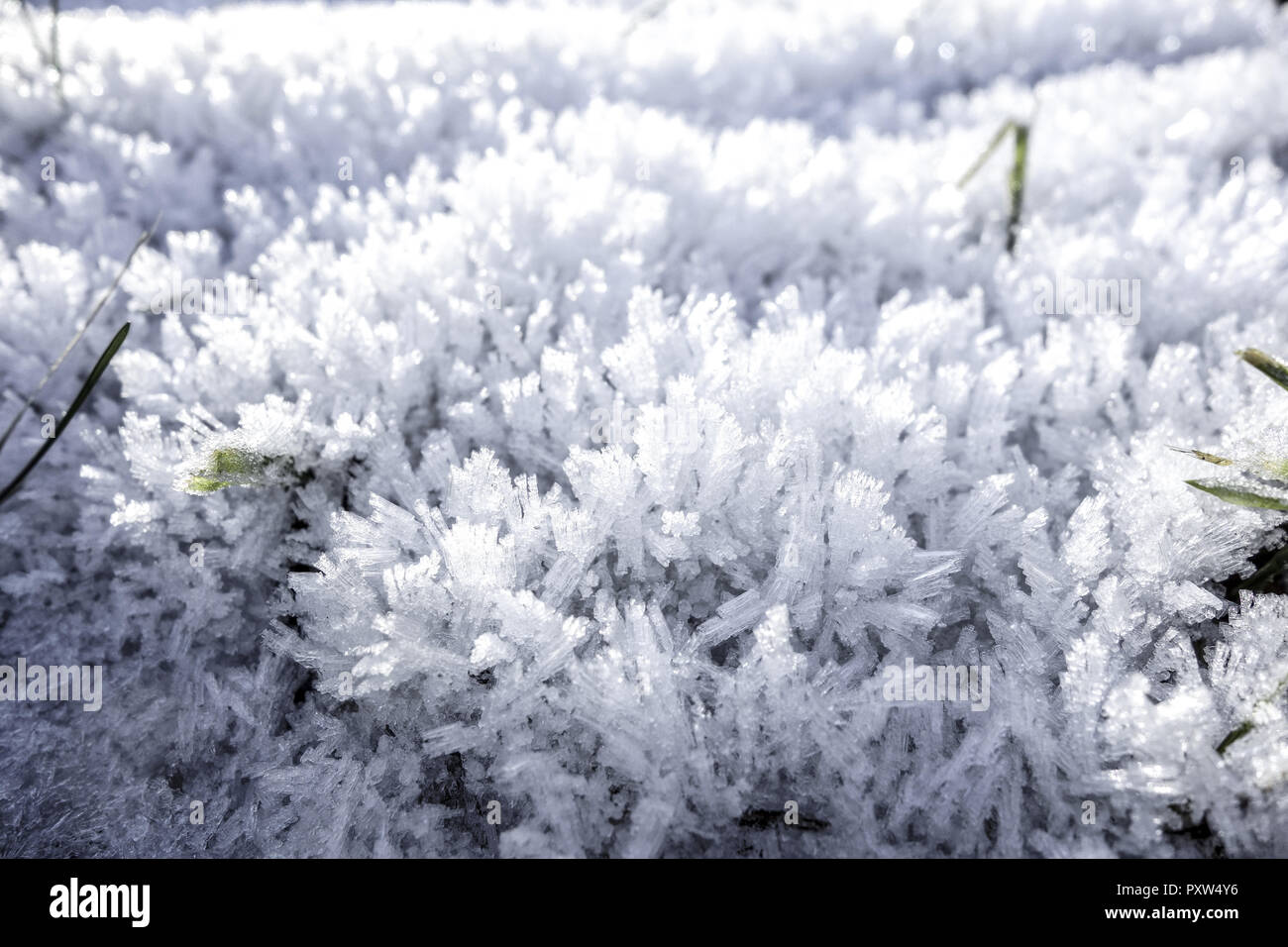 Schneekristalle im Winter, Snow crystals in winter, Winter, Snow ...