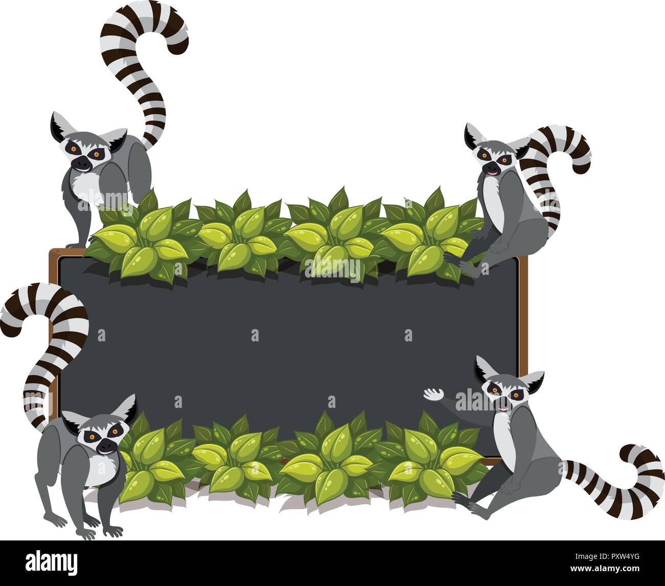 Lemurs Cut Out Stock Images & Pictures - Alamy