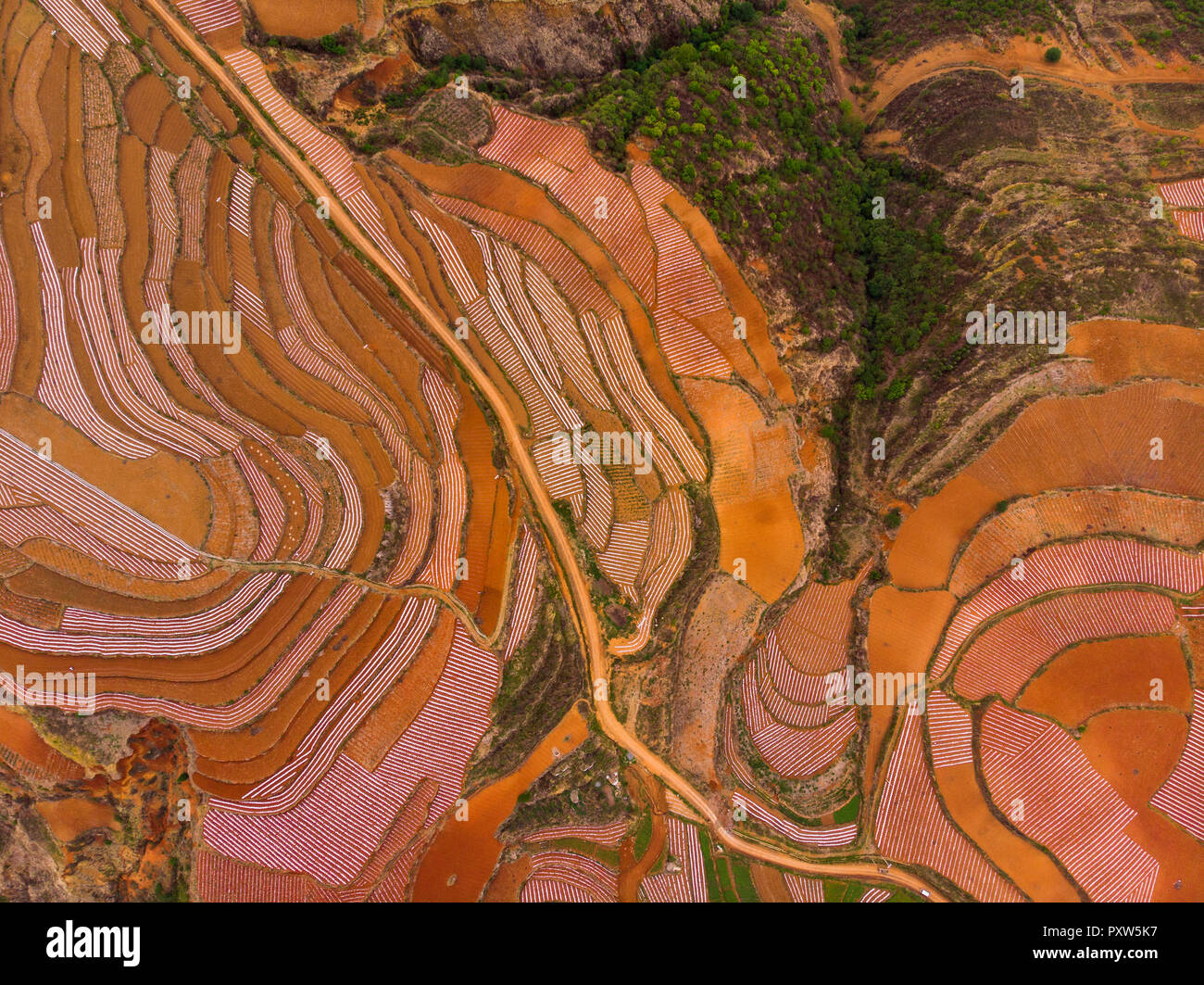 China, Yunnan province, Dongchuan, Red Land Stock Photo - Alamy