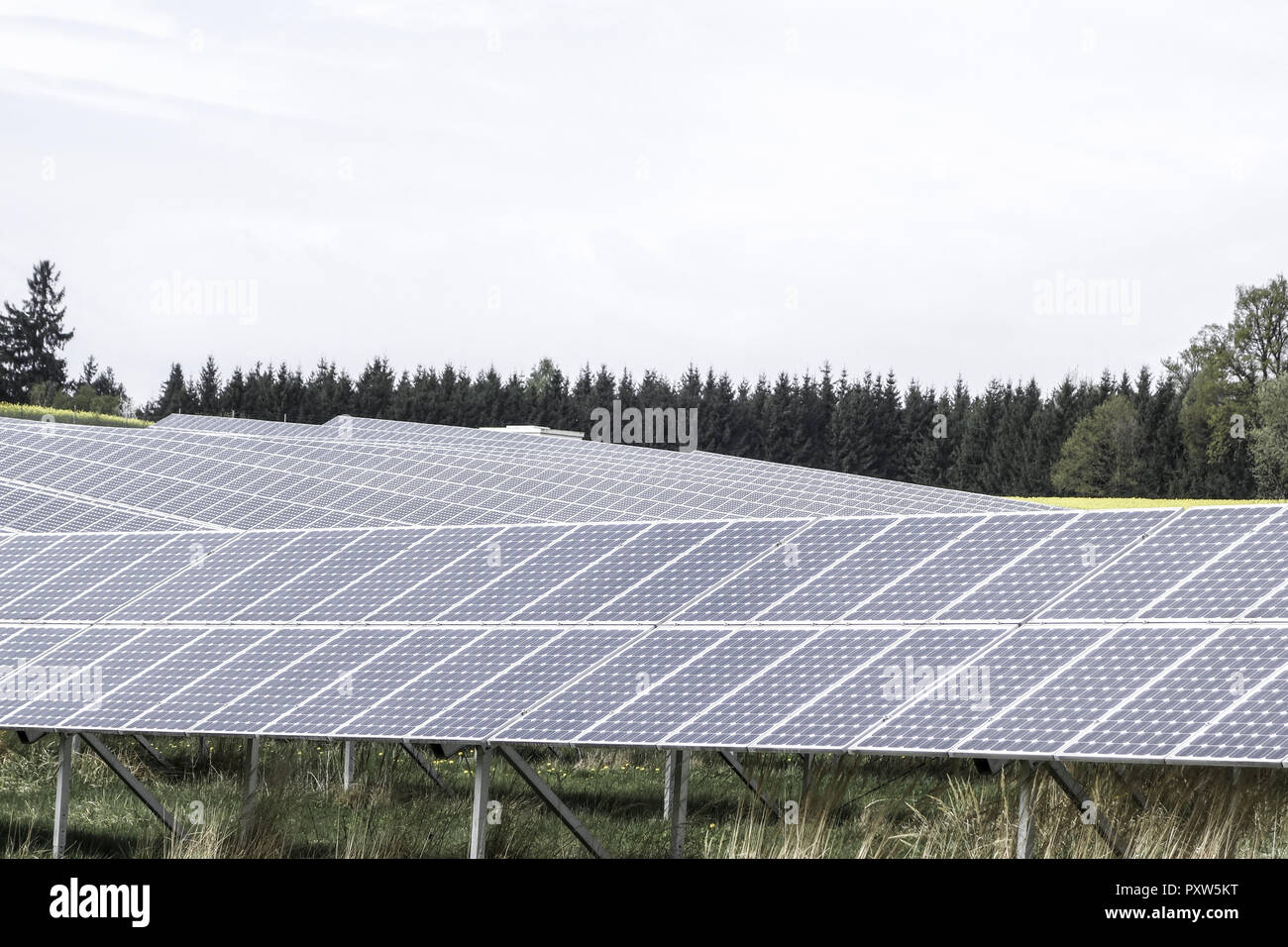 Solarfeld in Niederbayern, Bayern, Deutschland, Europa, Solar power ...