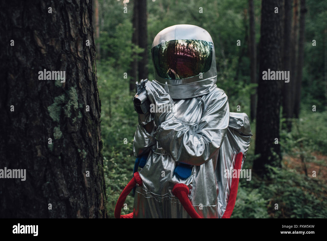 Filming nature hi-res stock photography and images - Alamy