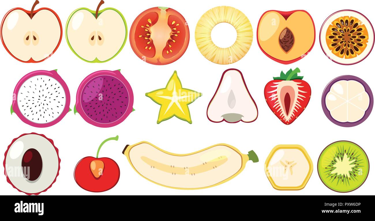 Isolated fruits half kiwi Stock Vector Images - Alamy