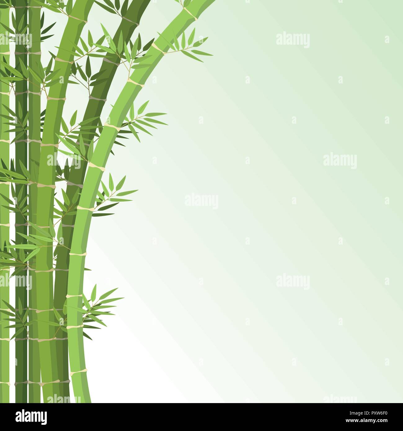 Bamboo Tree Border