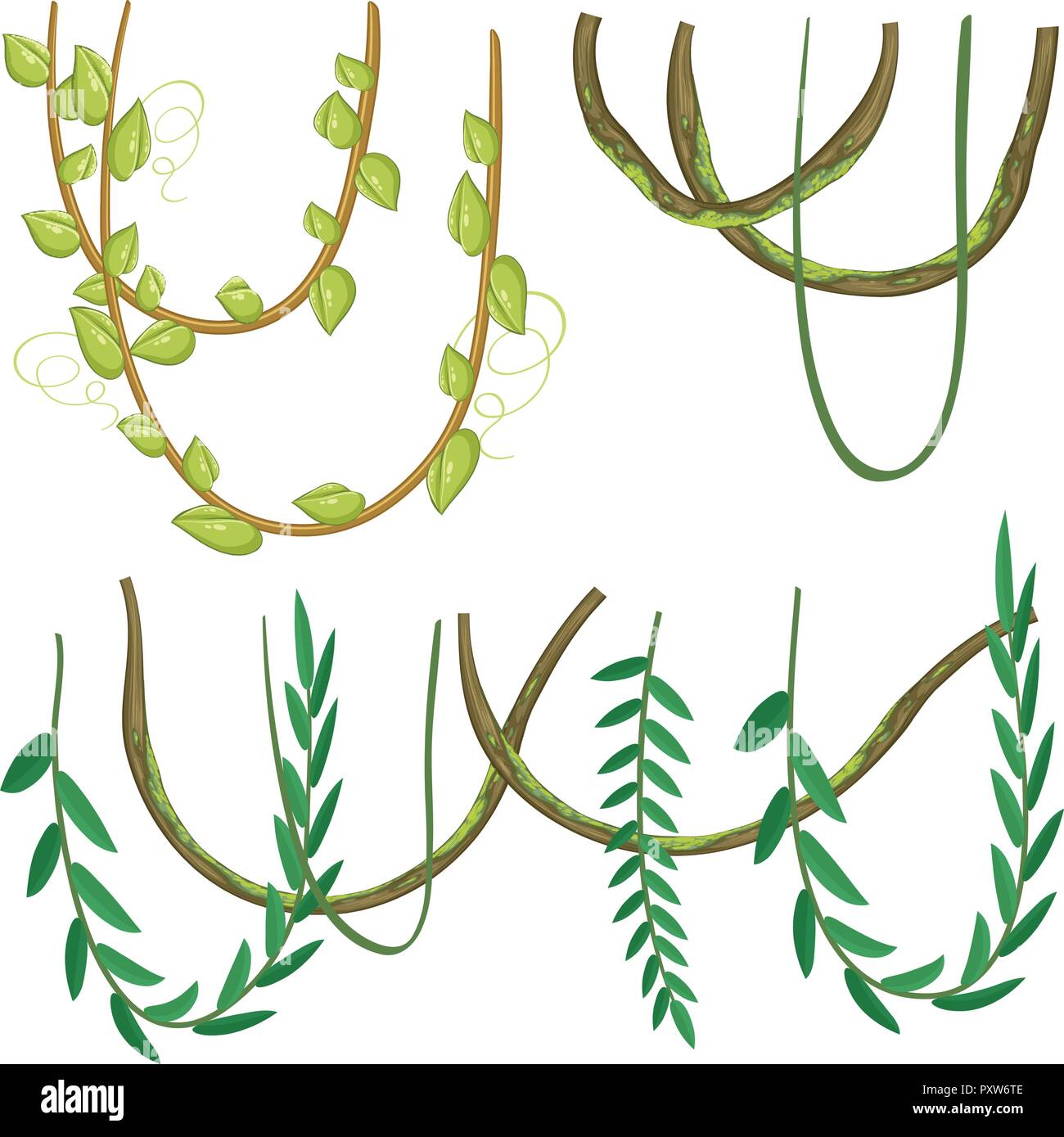 Different types of plants on white background illustration Stock Vector ...