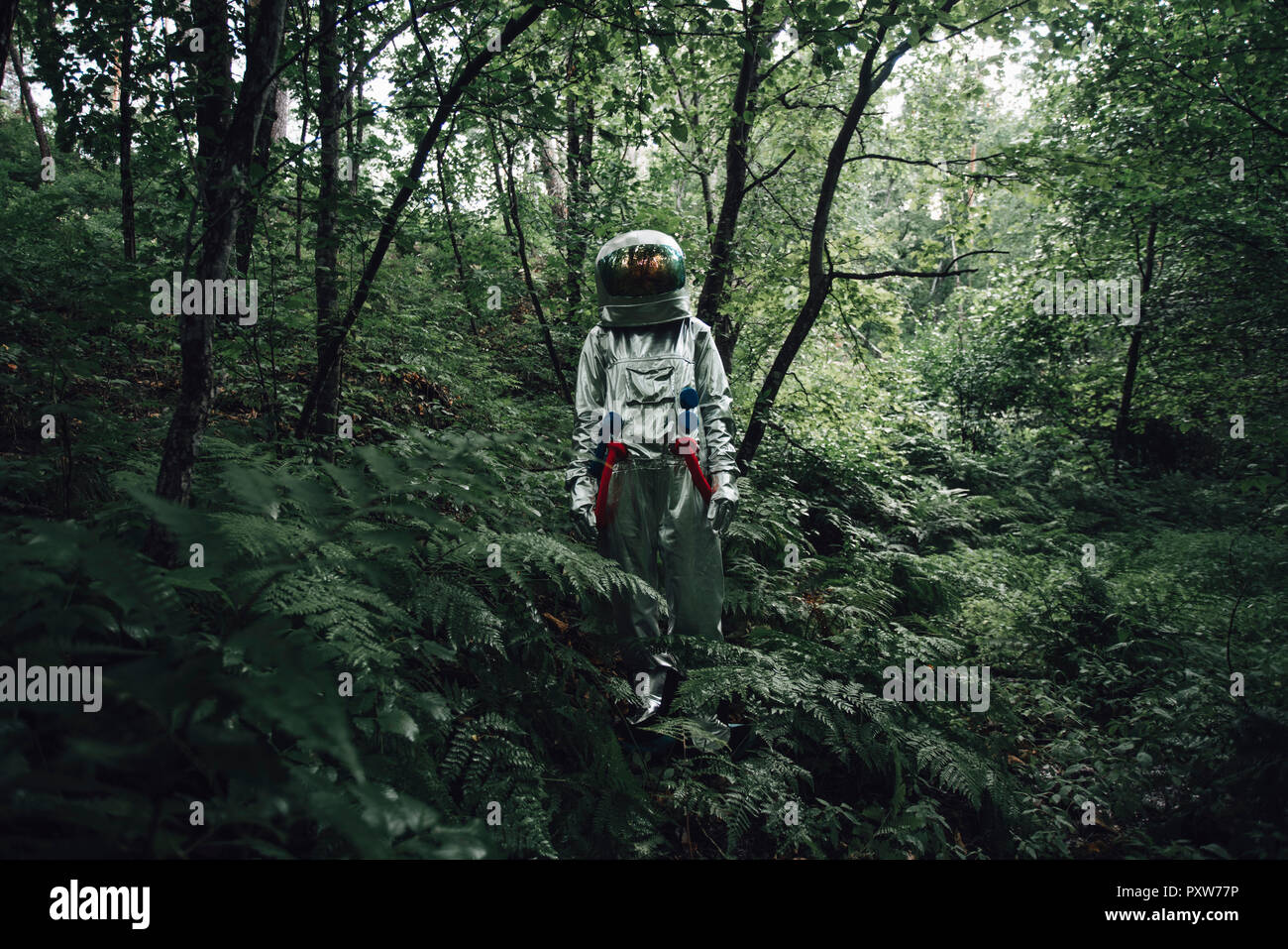 Exploring the environment hi-res stock photography and images - Alamy