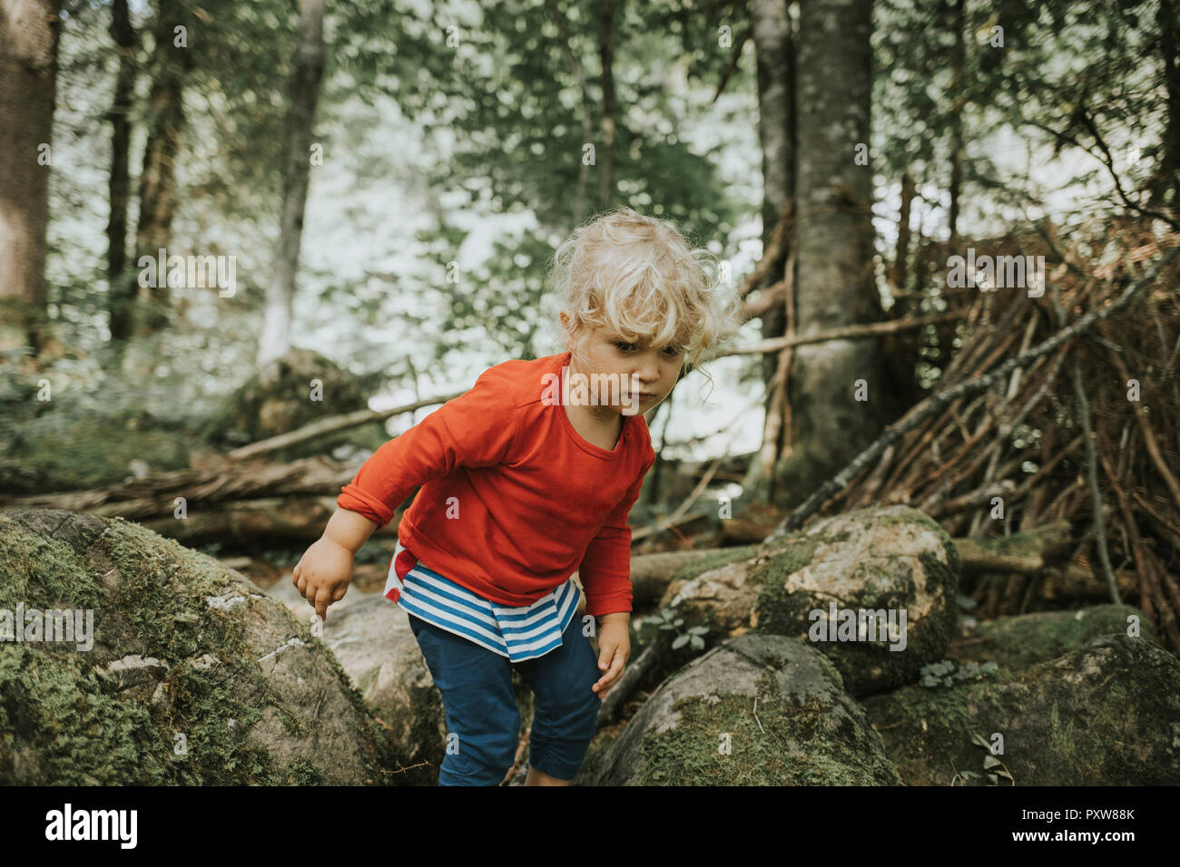 Child in a forest hi-res stock photography and images - Alamy
