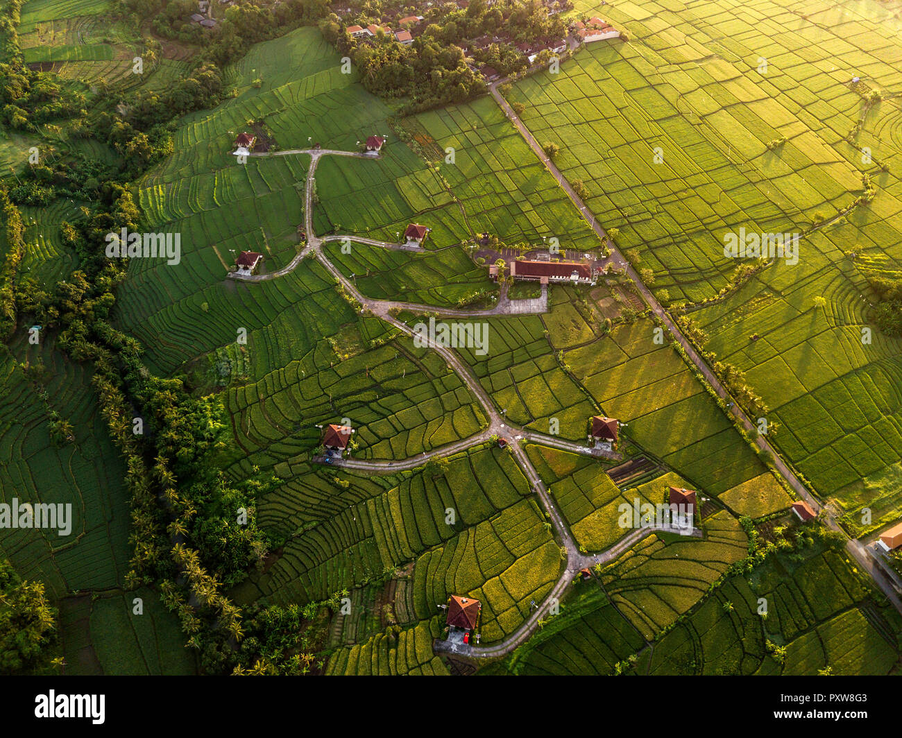 Kedungu hi-res stock photography and images - Alamy