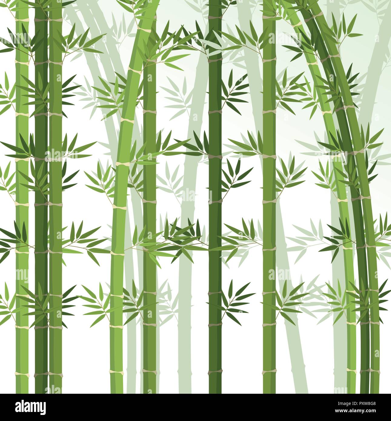 Background design with bamboo trees illustration Stock Vector Image ...