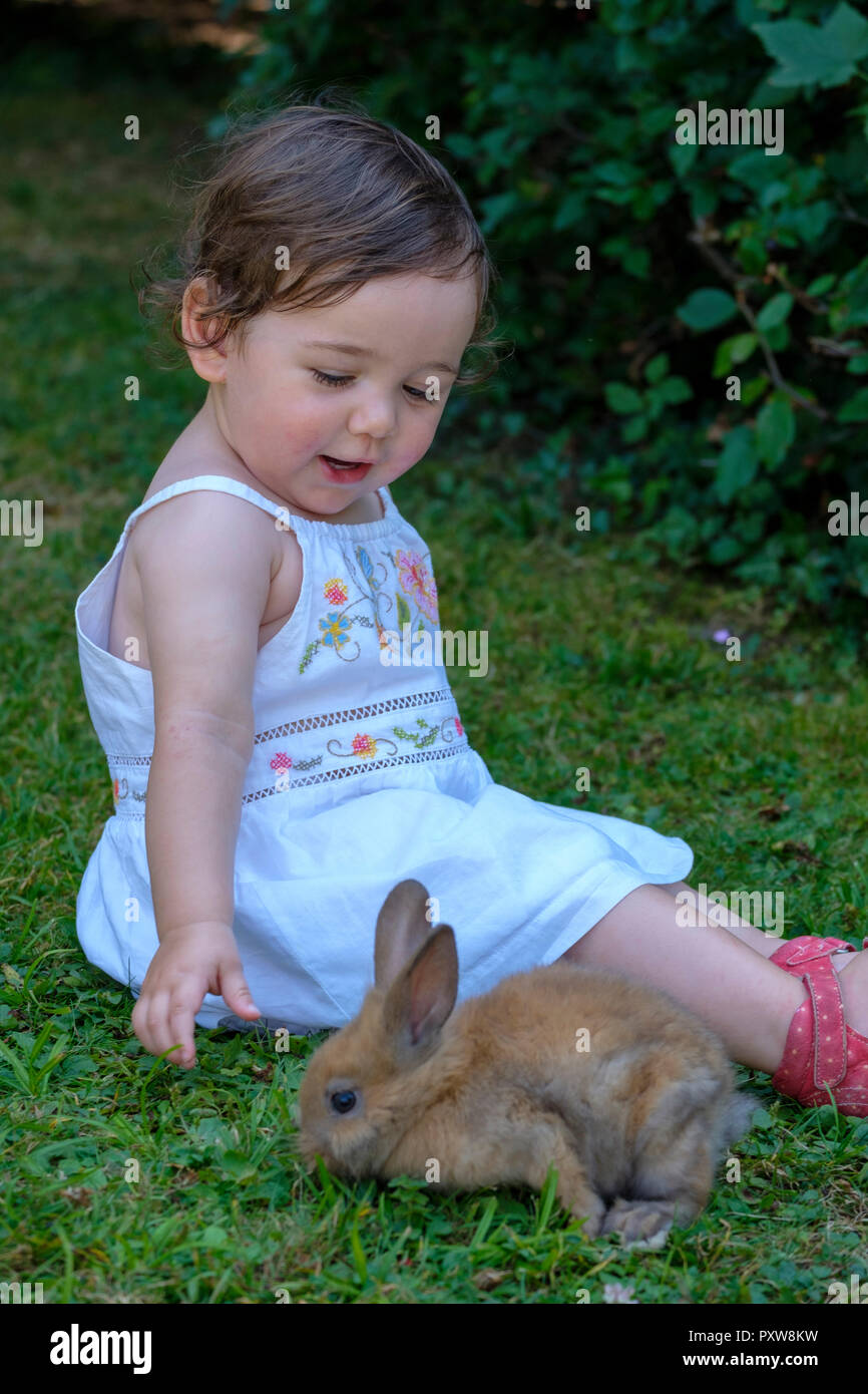 Baby bunnies hi-res stock photography and images - Alamy