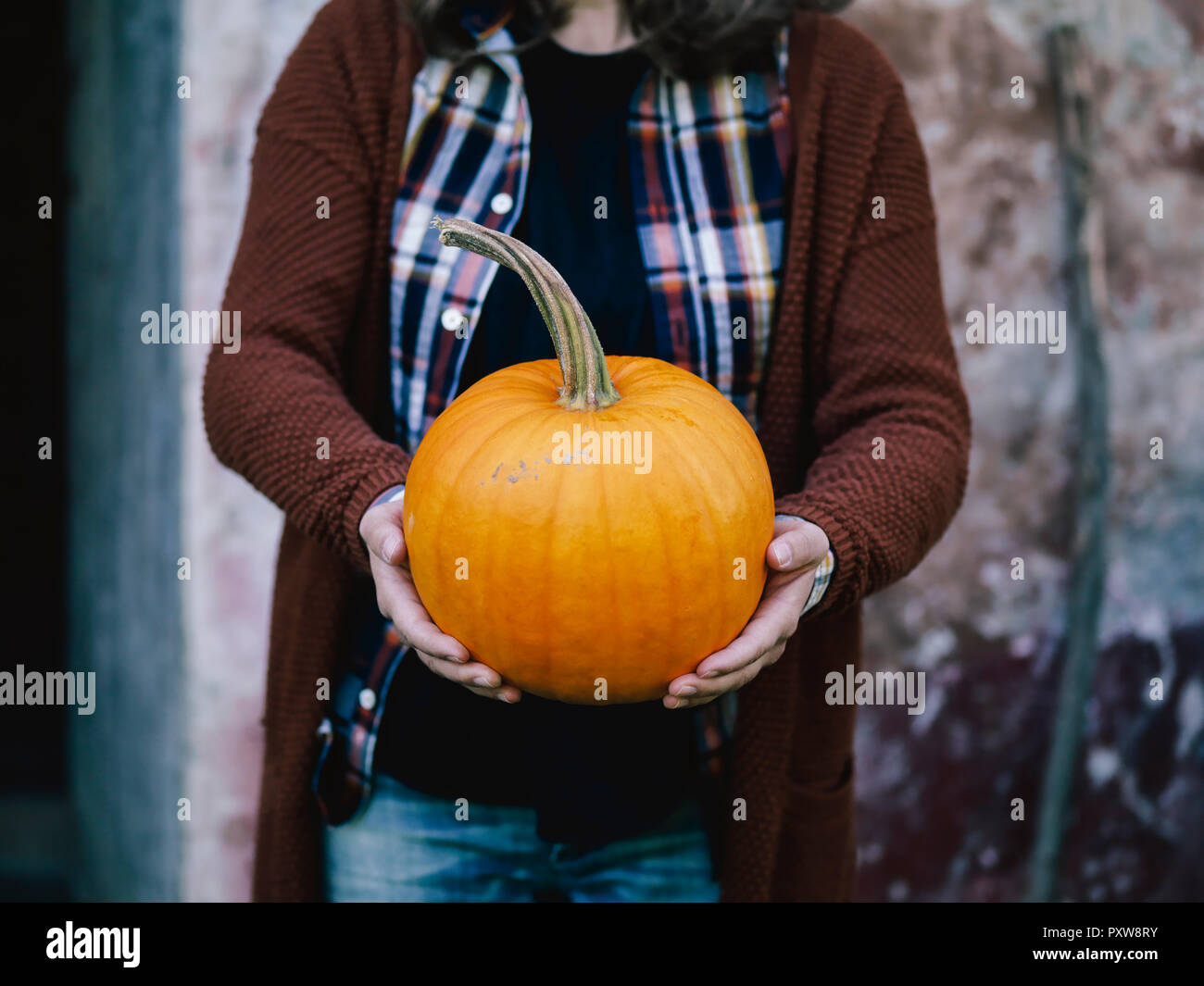 Female hand holding pumpkins hi-res stock photography and images - Alamy