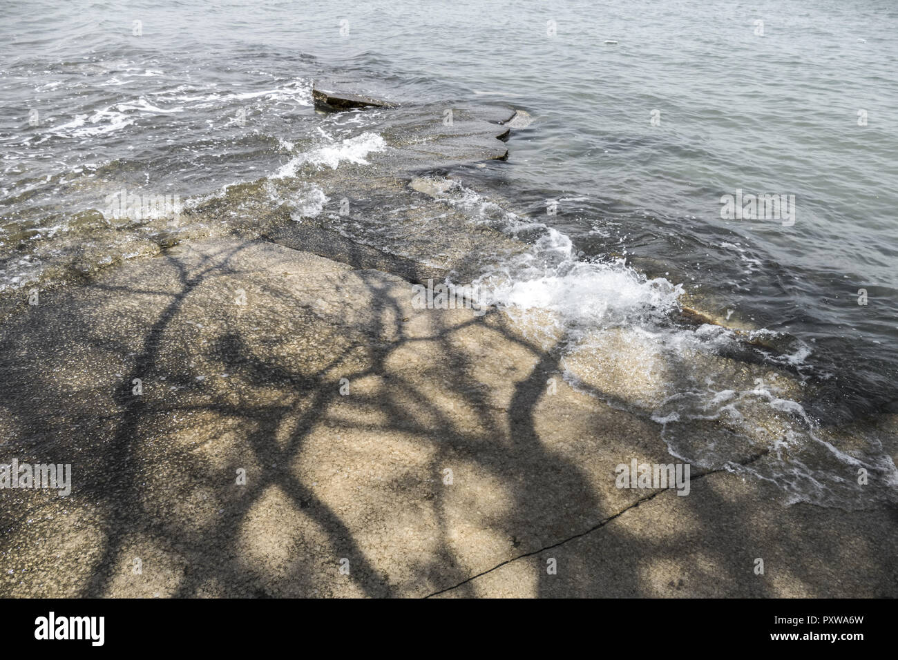Susan hoi shell fossil cemetery hi-res stock photography and images - Alamy