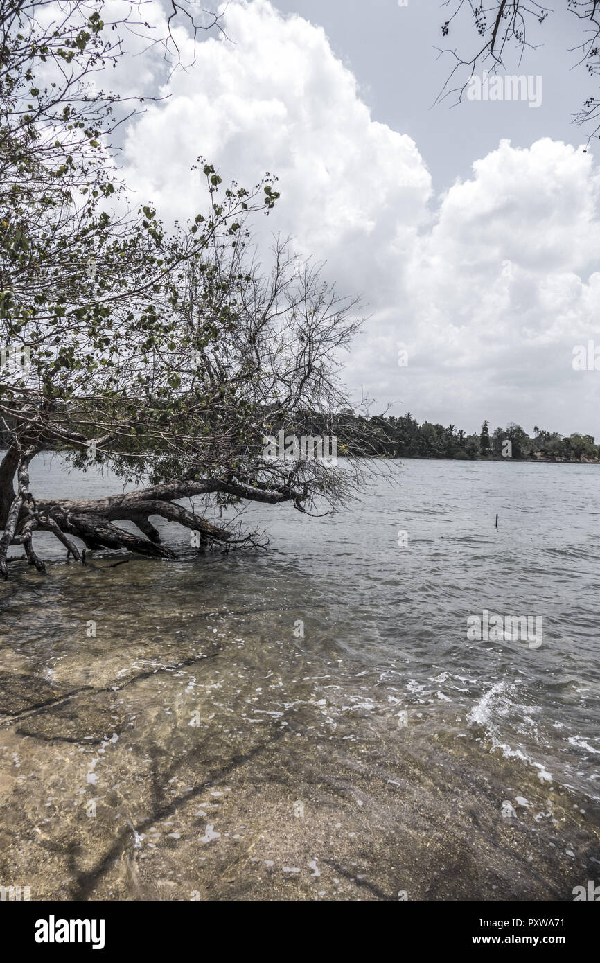 Krabi Shell Cemetery (Susan Hoi Stock Photo - Alamy