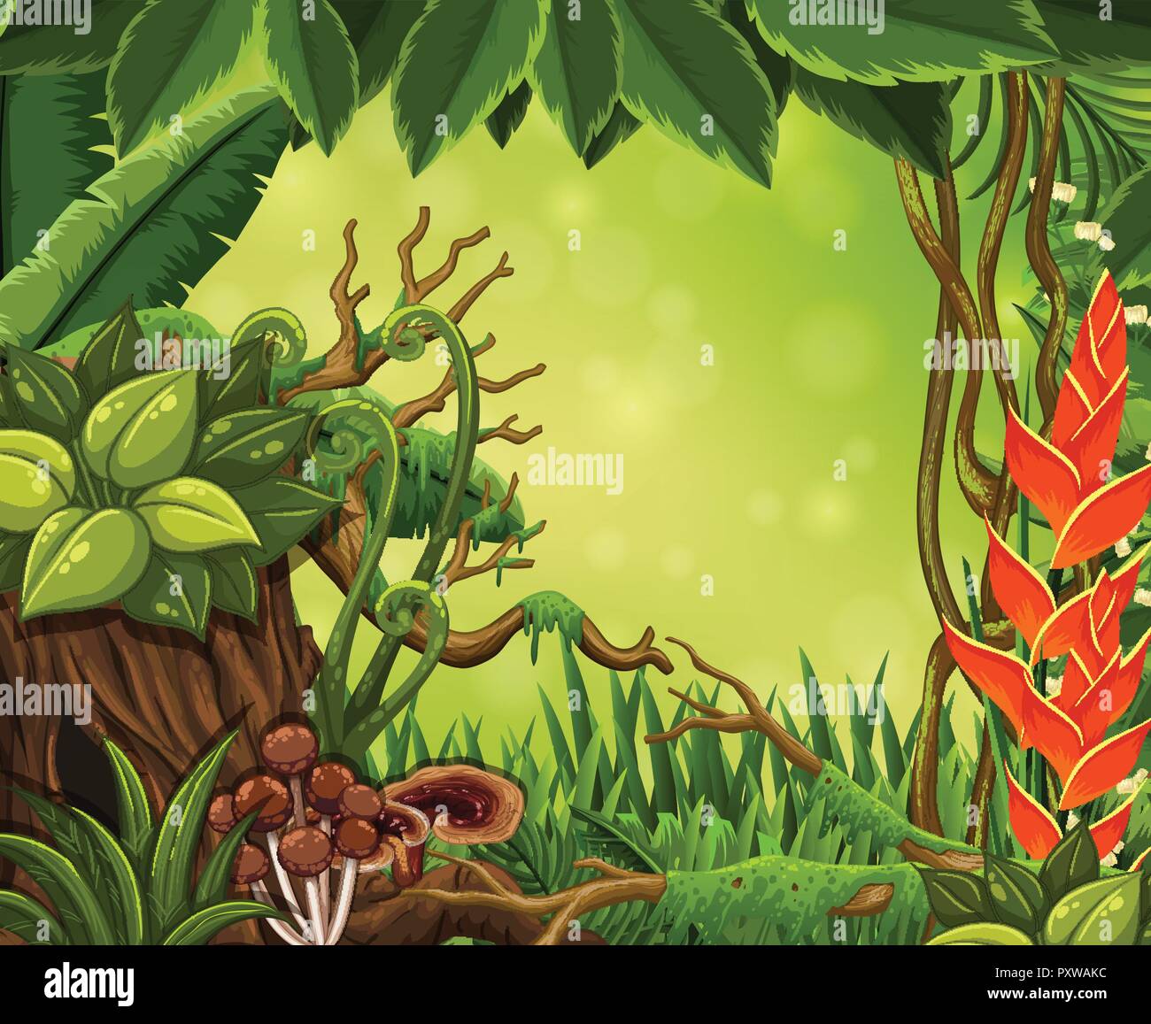 Beautiful Rain Forest Green Template illustration Stock Vector Image ...