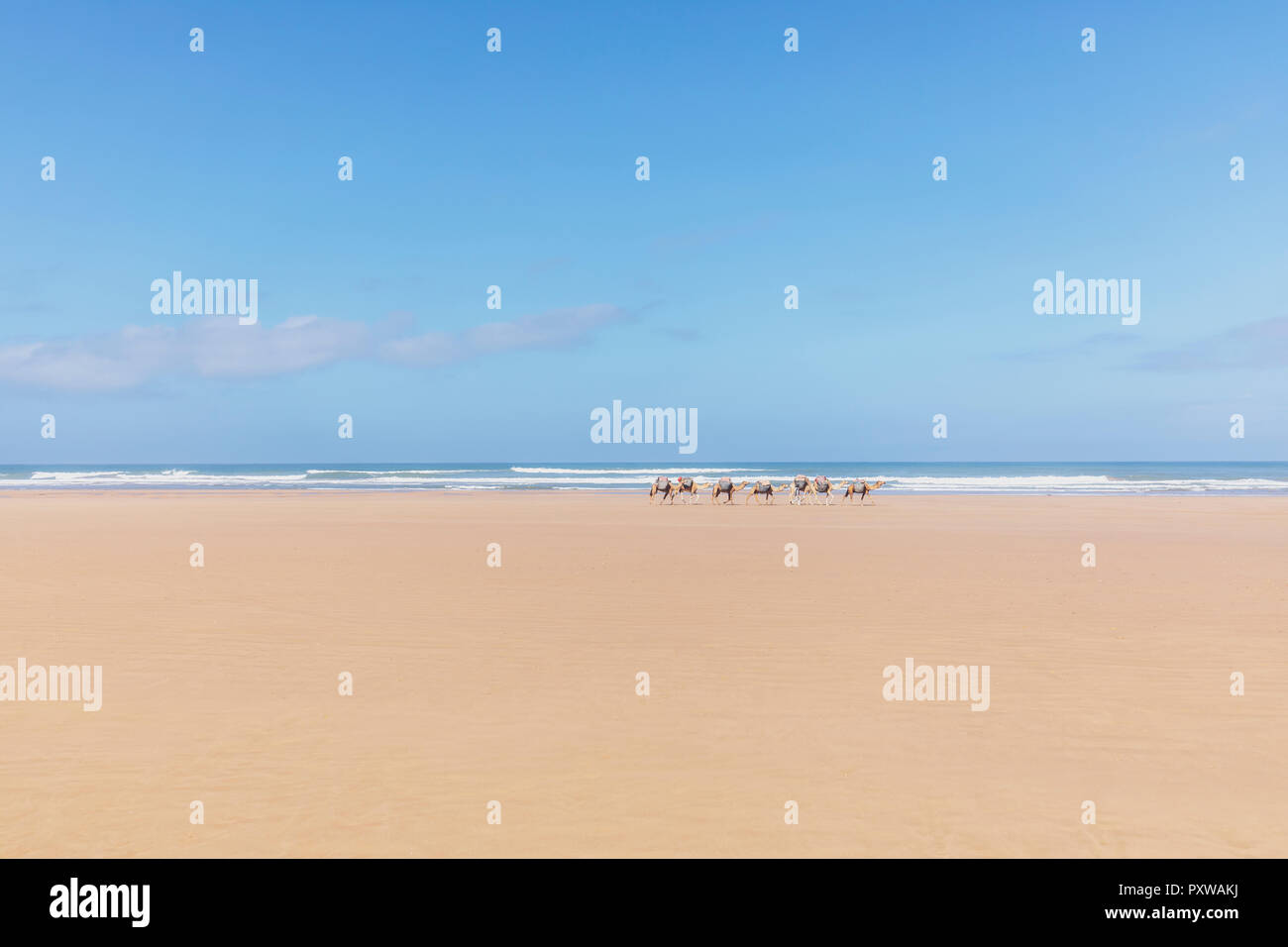 Morocco, Caravan at the beach Stock Photo - Alamy