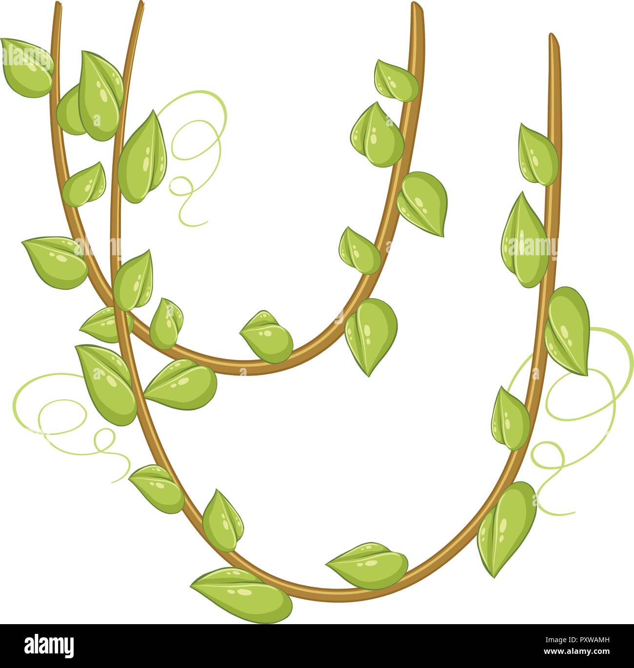 Vine with green leaves on white background illustration Stock Vector ...