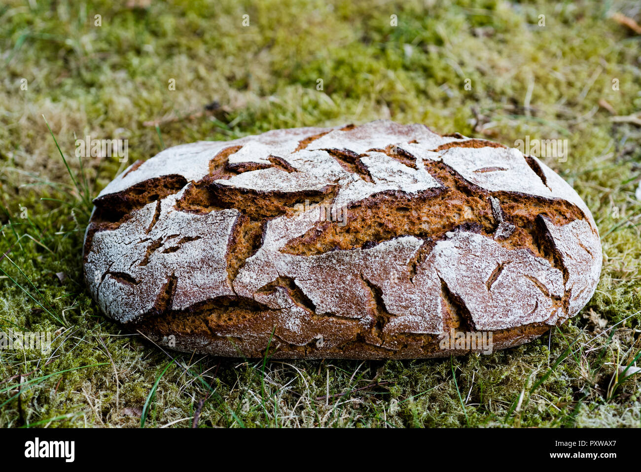 Loaf of brown bread on grass Stock Photo - Alamy