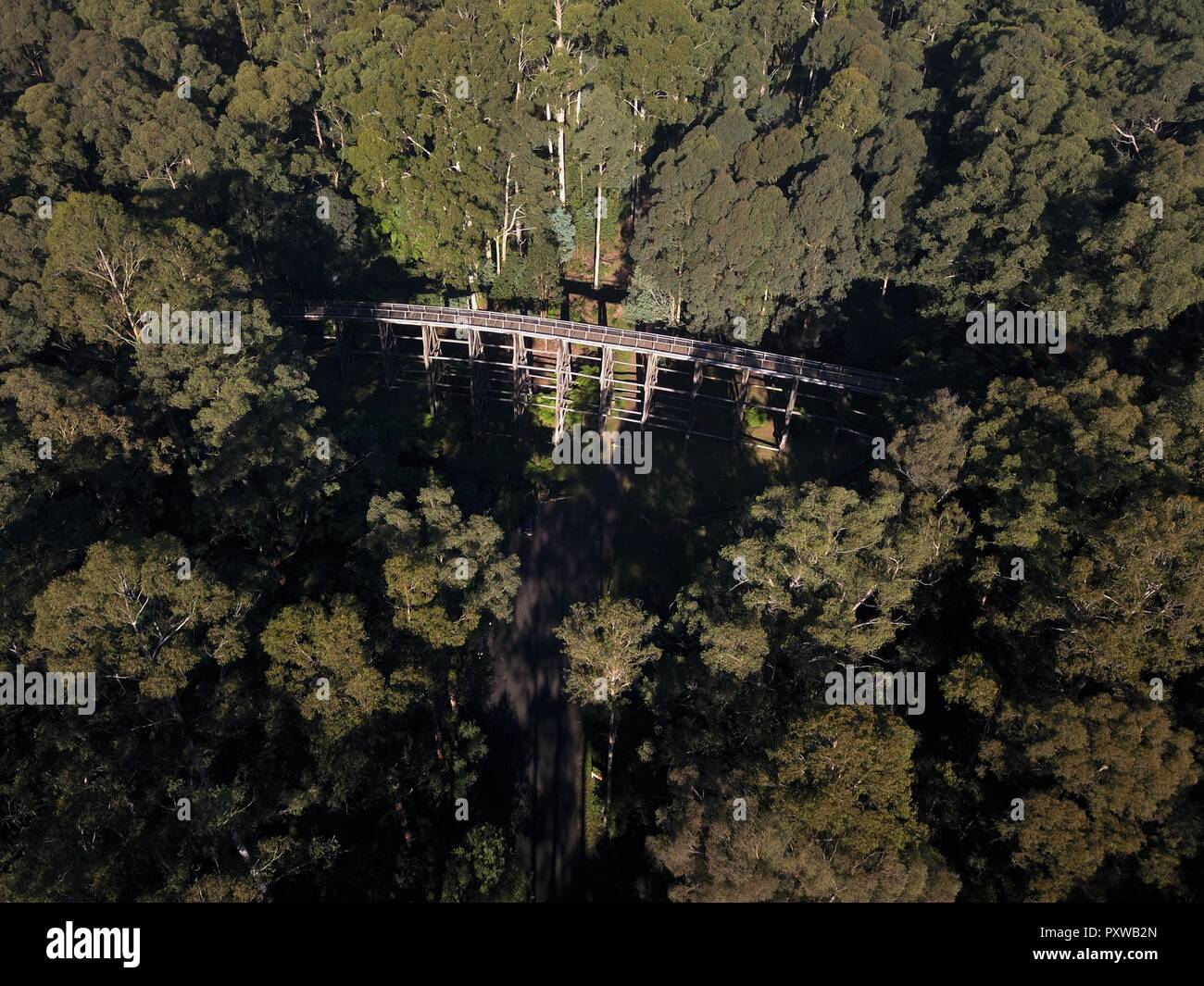 Noojee trestle bridge hi-res stock photography and images - Alamy