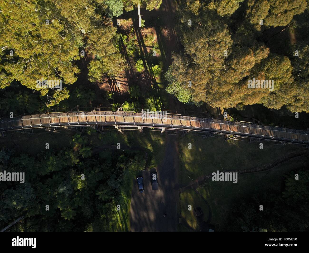 Noojee trestle bridge hi-res stock photography and images - Alamy