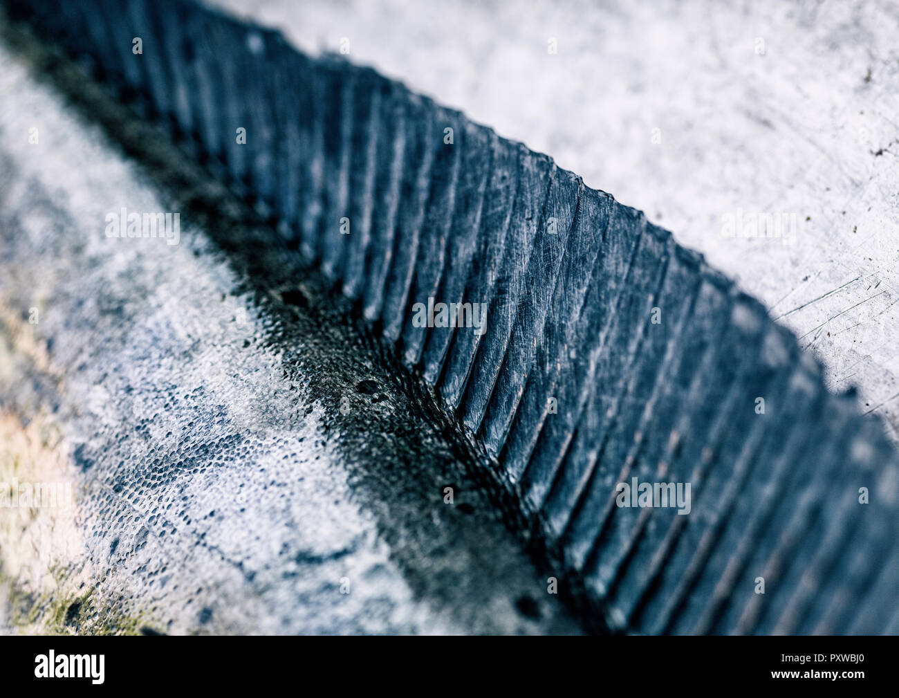 Fish fin hi-res stock photography and images - Alamy