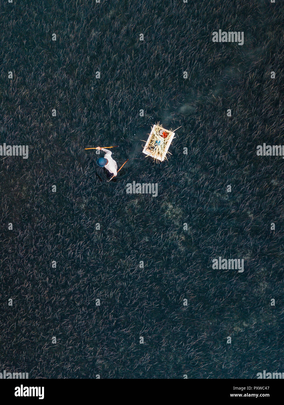 Indonesia, Bali, Aerial view of shrimp farm Stock Photo - Alamy