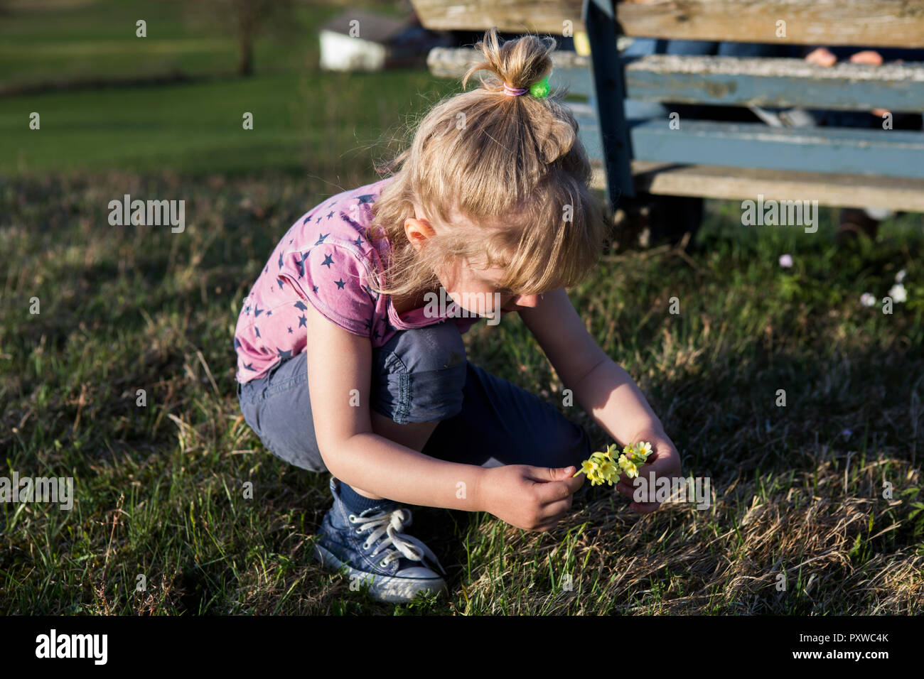 Pluck Flowers Stock Photos & Pluck Flowers Stock Images - Alamy