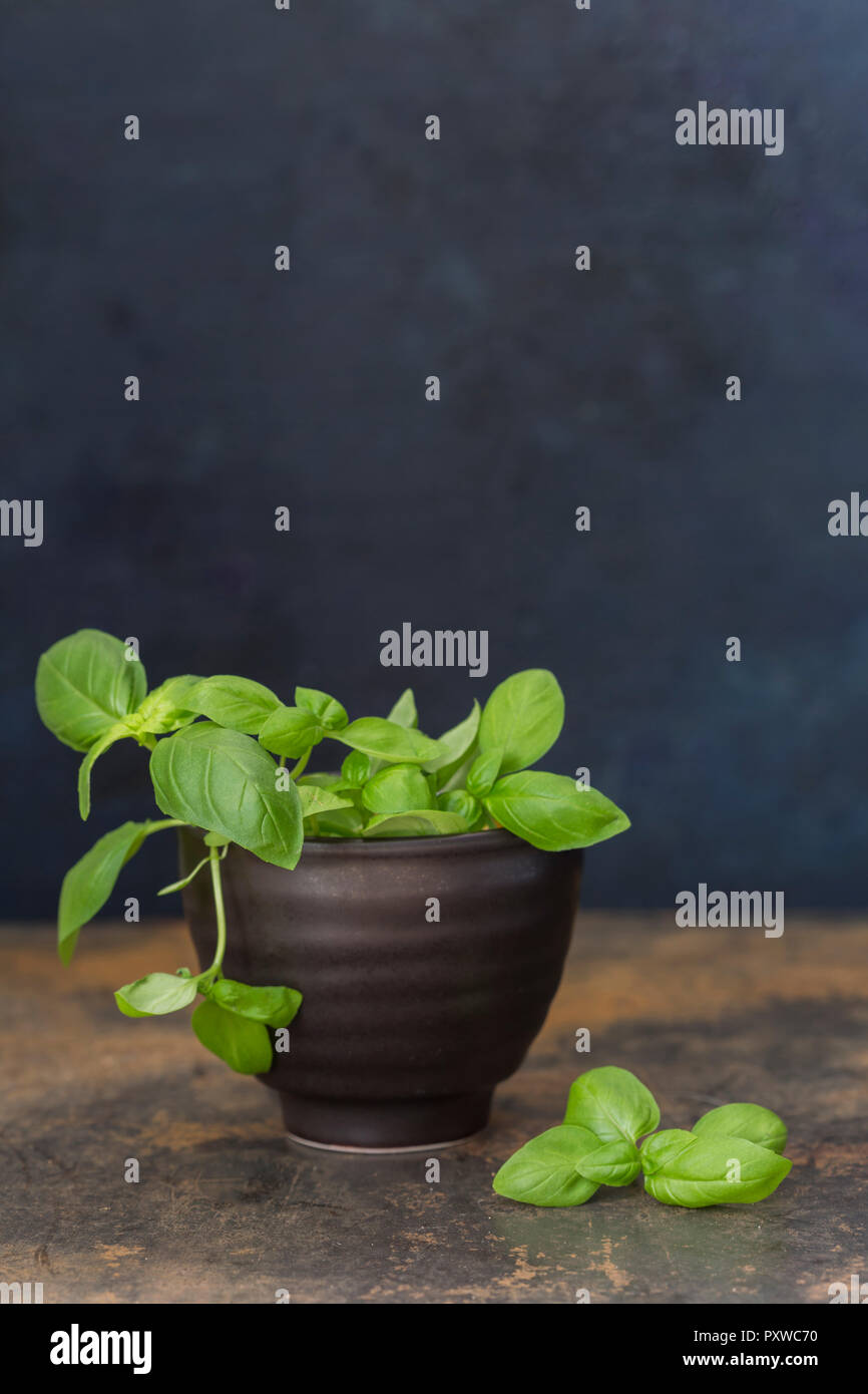 Basil photos hi-res stock photography and images - Alamy