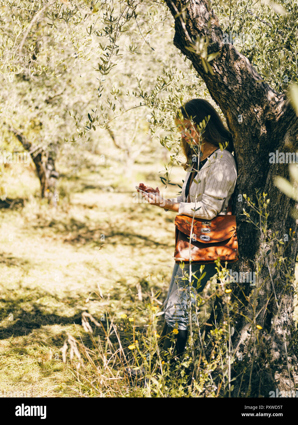 Italy, woman leaning against olive tree using cell phone Stock Photo ...