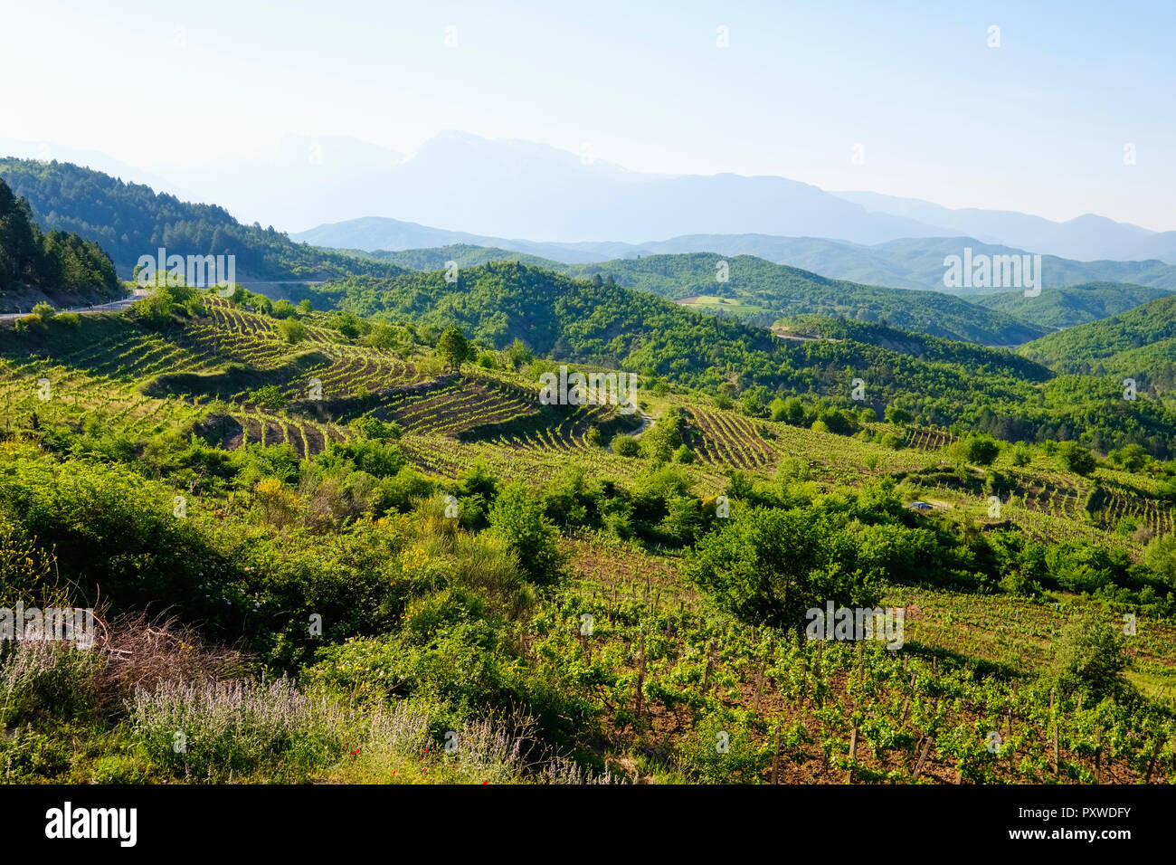 Leskovik hi-res stock photography and images - Alamy