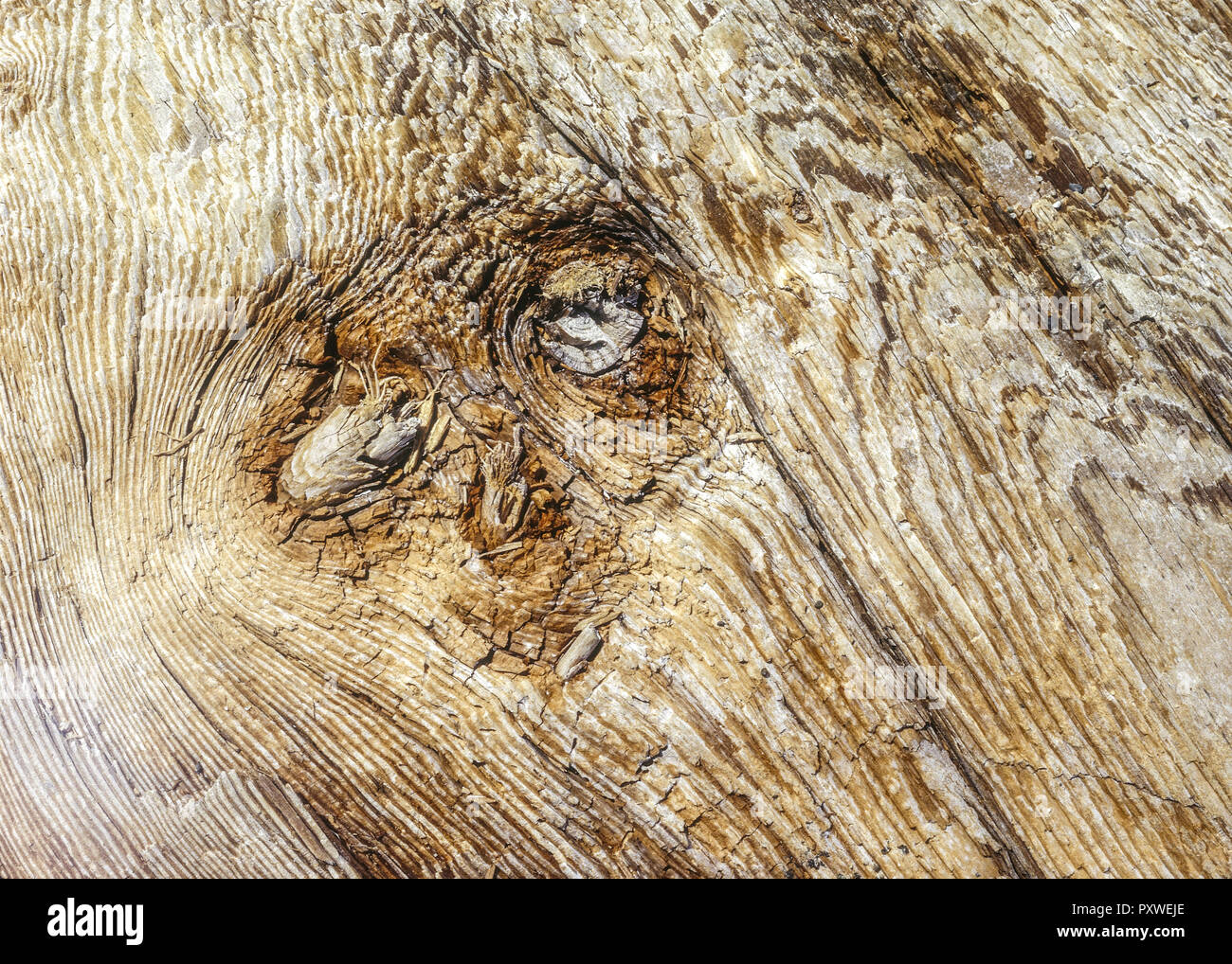 Holz mit Maserung und Astloechern Stock Photo - Alamy