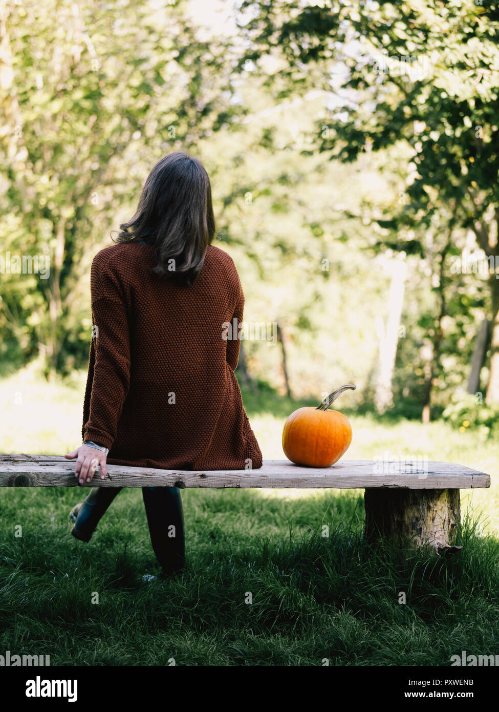 Woman Sitting On Bench Back View Couple Bench Back View Hi Res Stock