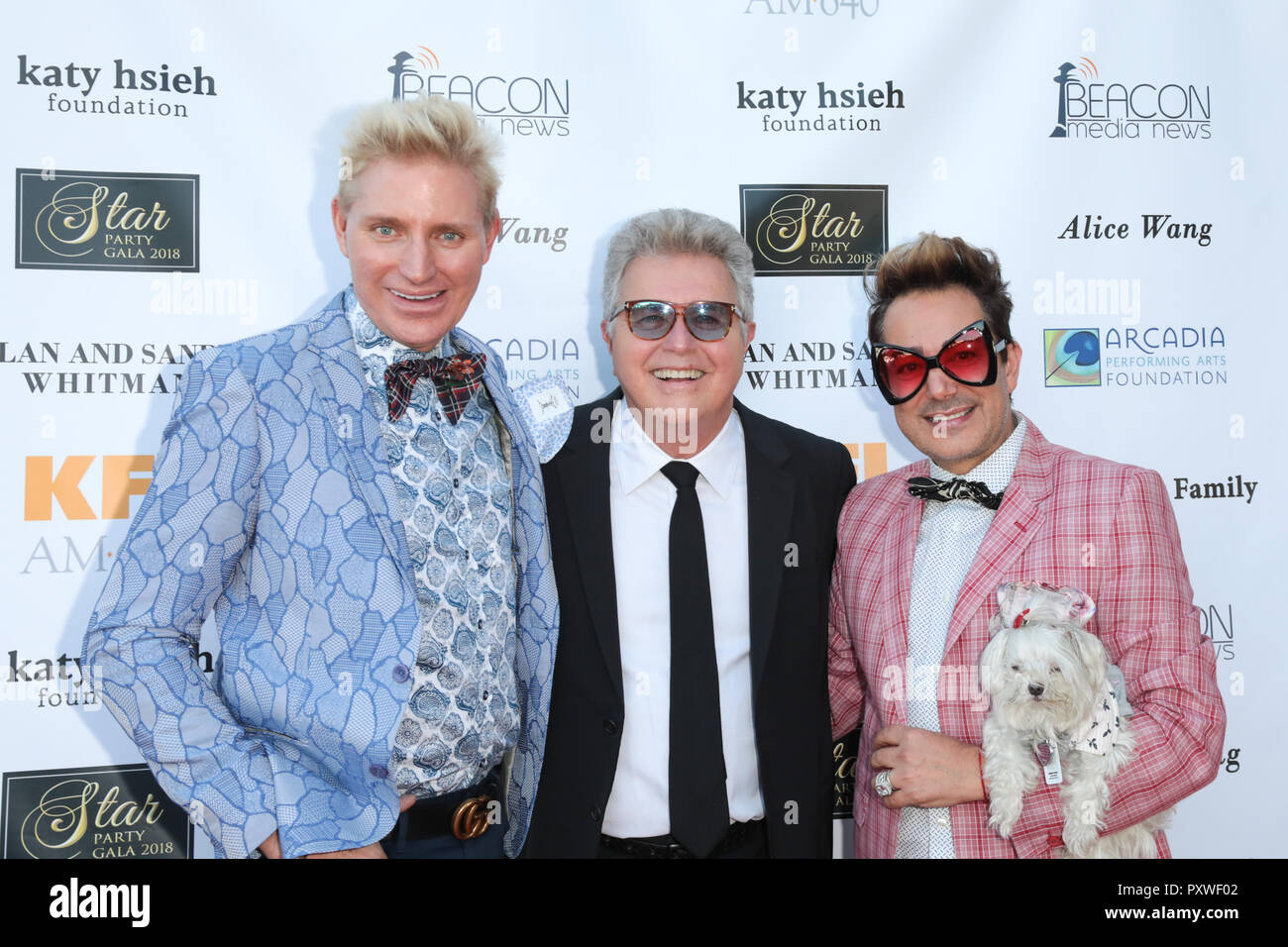 Arts culture and entertainment pol hi-res stock photography and images ...