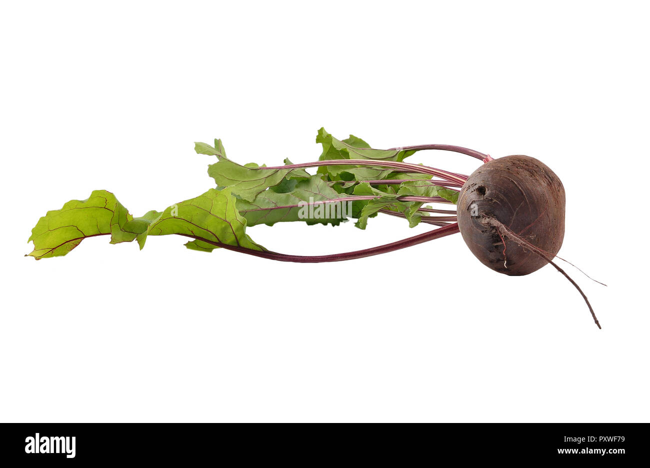 Beet fruit on white background Stock Photo - Alamy