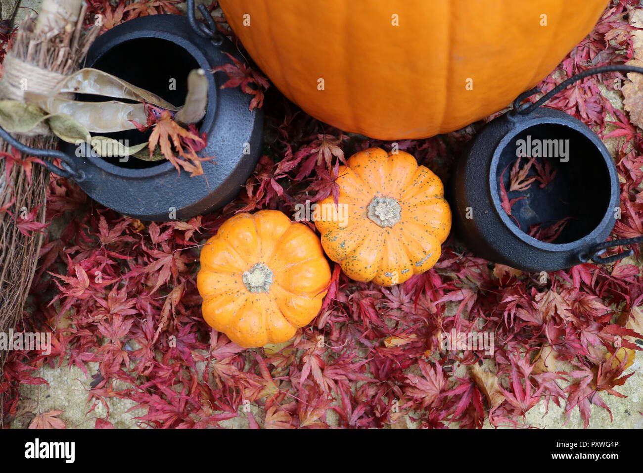 Cauldron ingredients hi-res stock photography and images - Alamy