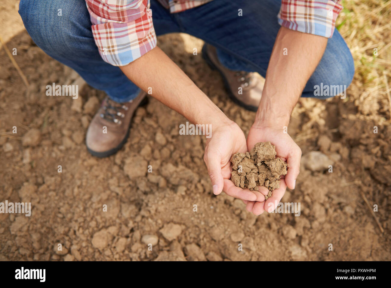 Hands holding soil hi-res stock photography and images - Alamy