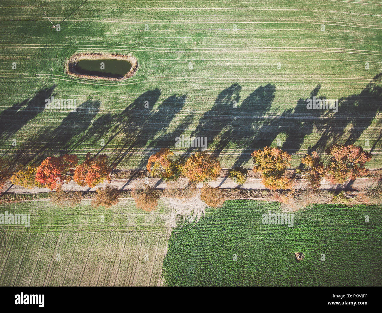 Landscape autumn trees fields hi-res stock photography and images - Alamy