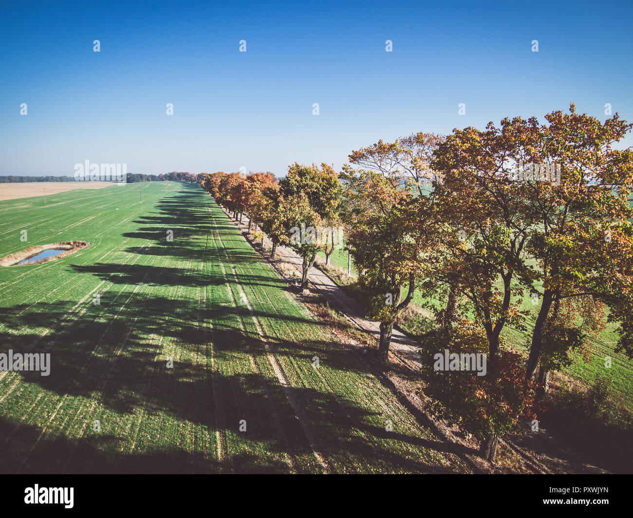 Autumn among trees hi-res stock photography and images - Alamy