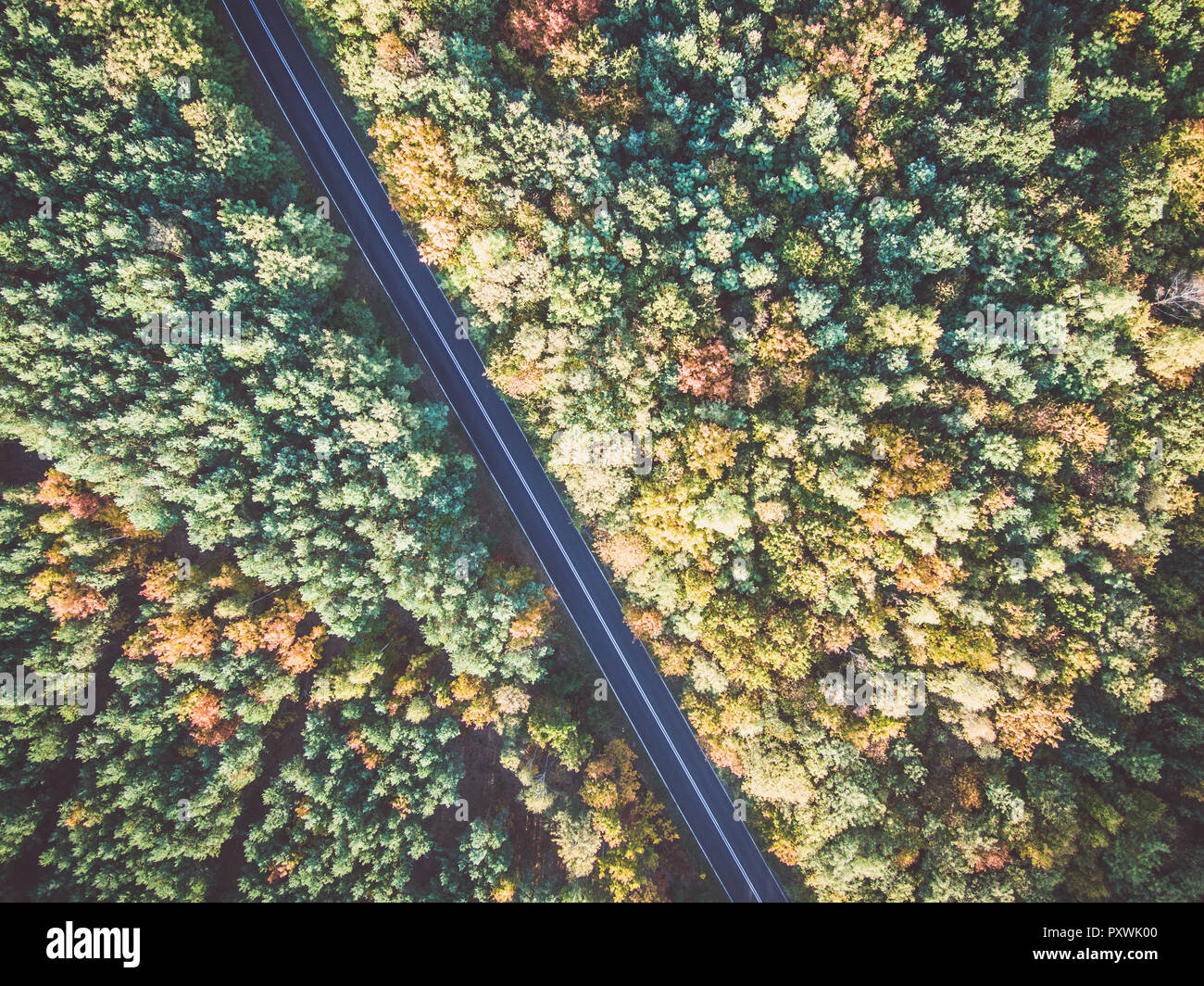 Aerial asphalt road through forest hi-res stock photography and images ...