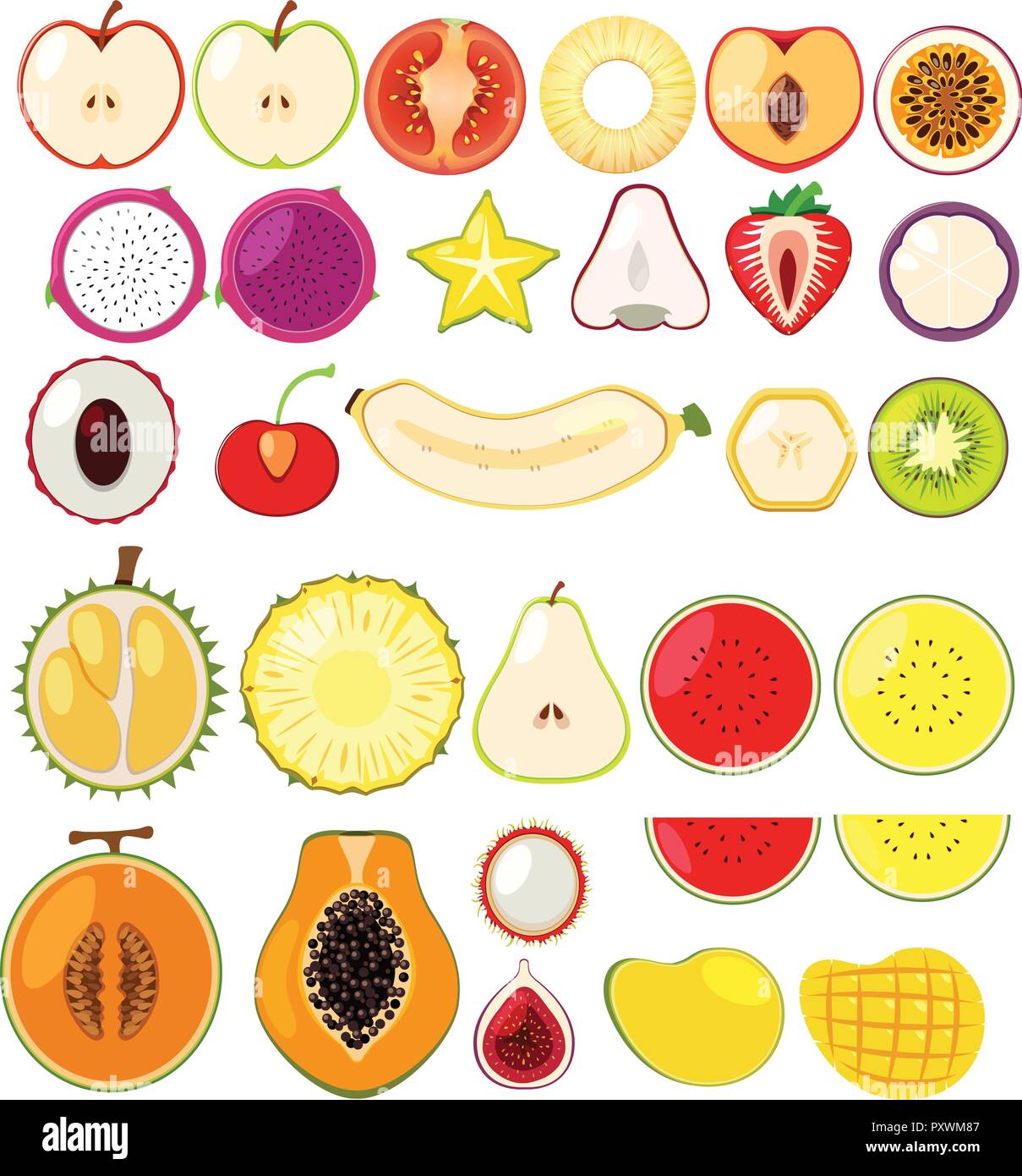 Different types of fruits cut in half illustration Stock Vector Image ...