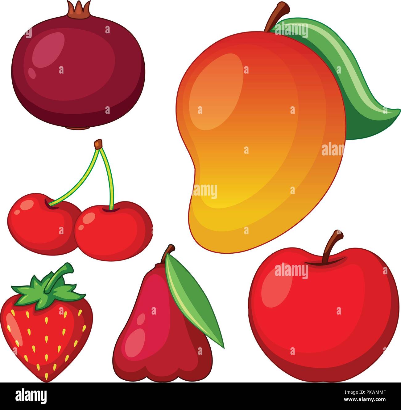 Types of fruits Stock Vector Images - Alamy