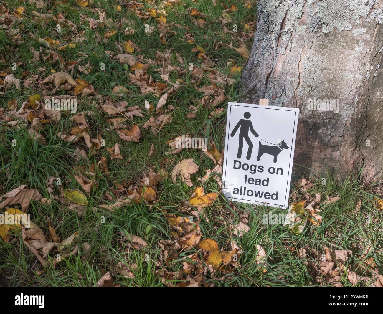 Sign asking responsible dog walkers owners to keep their pets on a lead ...
