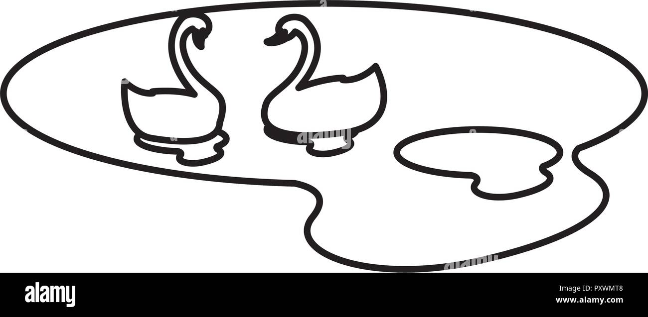 two swans in water over white background, vector illustration Stock ...